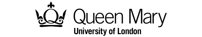 Yao Lu – Queen Mary University of London (QMUL)